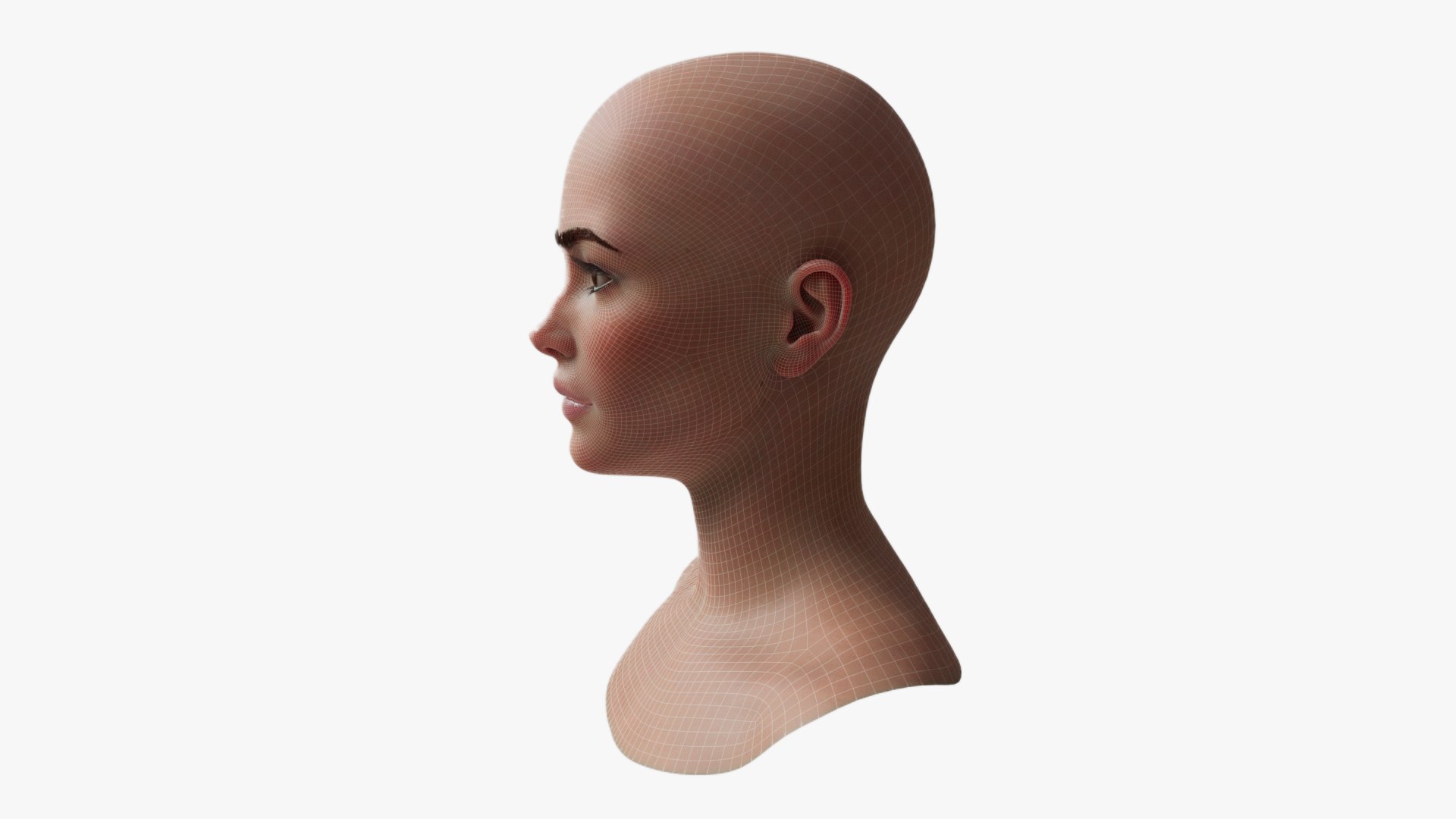 Female Head Mesh Metahuman Unreal Topology Woman Head Mesh V1 3D Model ...