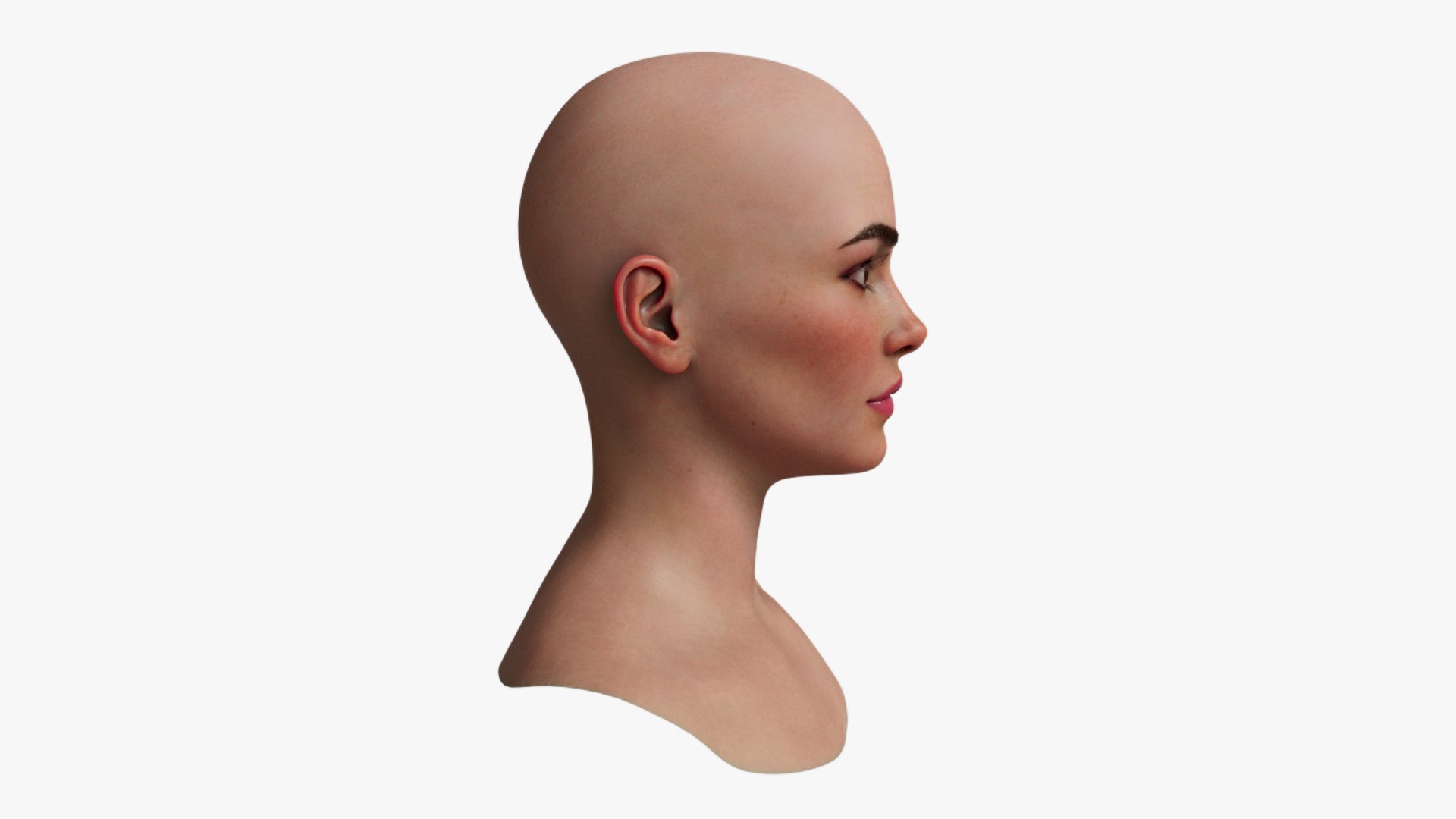 Female Head Mesh Metahuman Unreal Topology Woman Head Mesh V1 3D Model ...