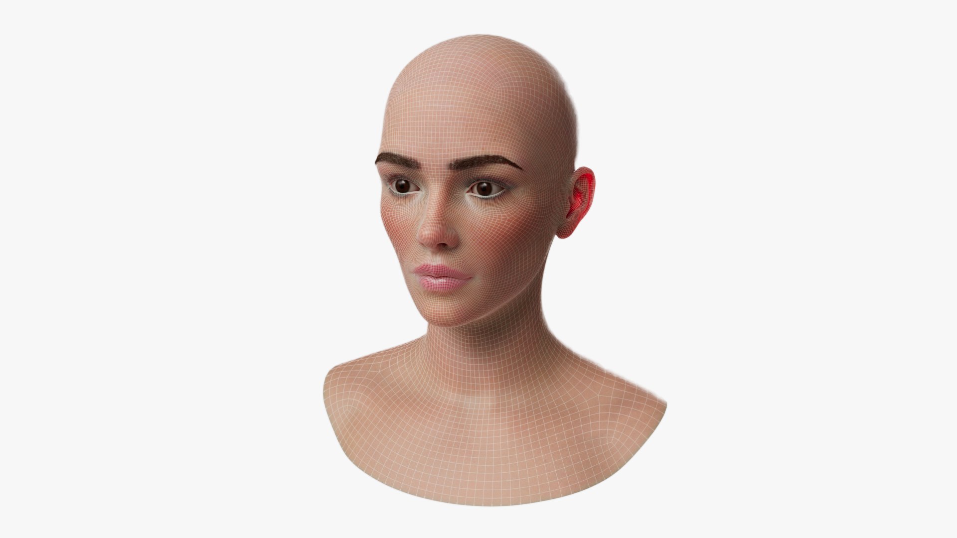 Female Head Mesh Metahuman Unreal Topology Woman Head Mesh V1 3D Model ...