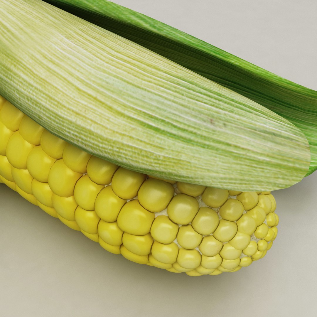 3d Corn V2 Model