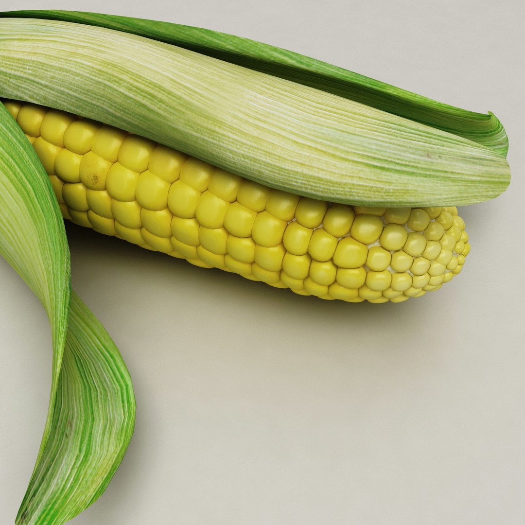 3d Corn V2 Model