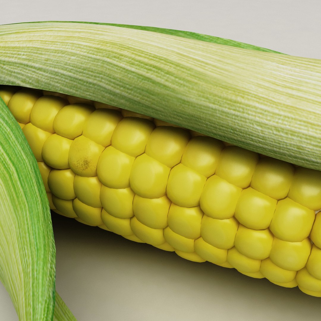 3d Corn V2 Model