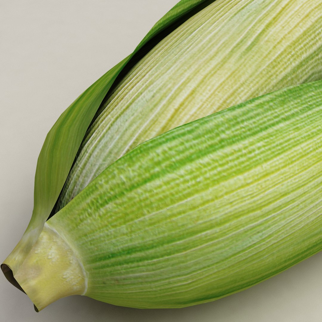3d Corn V2 Model