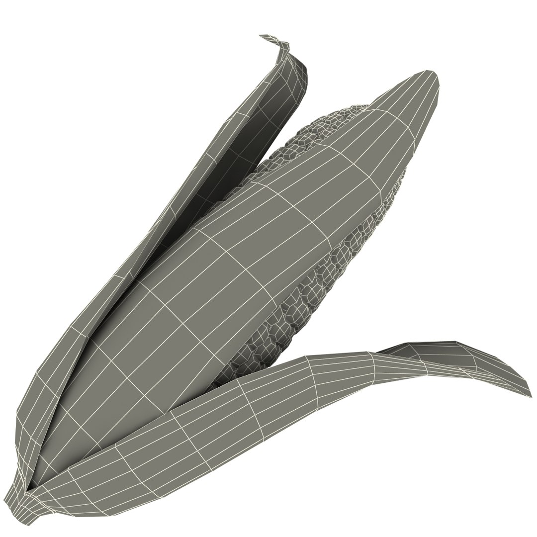 3d Corn V2 Model