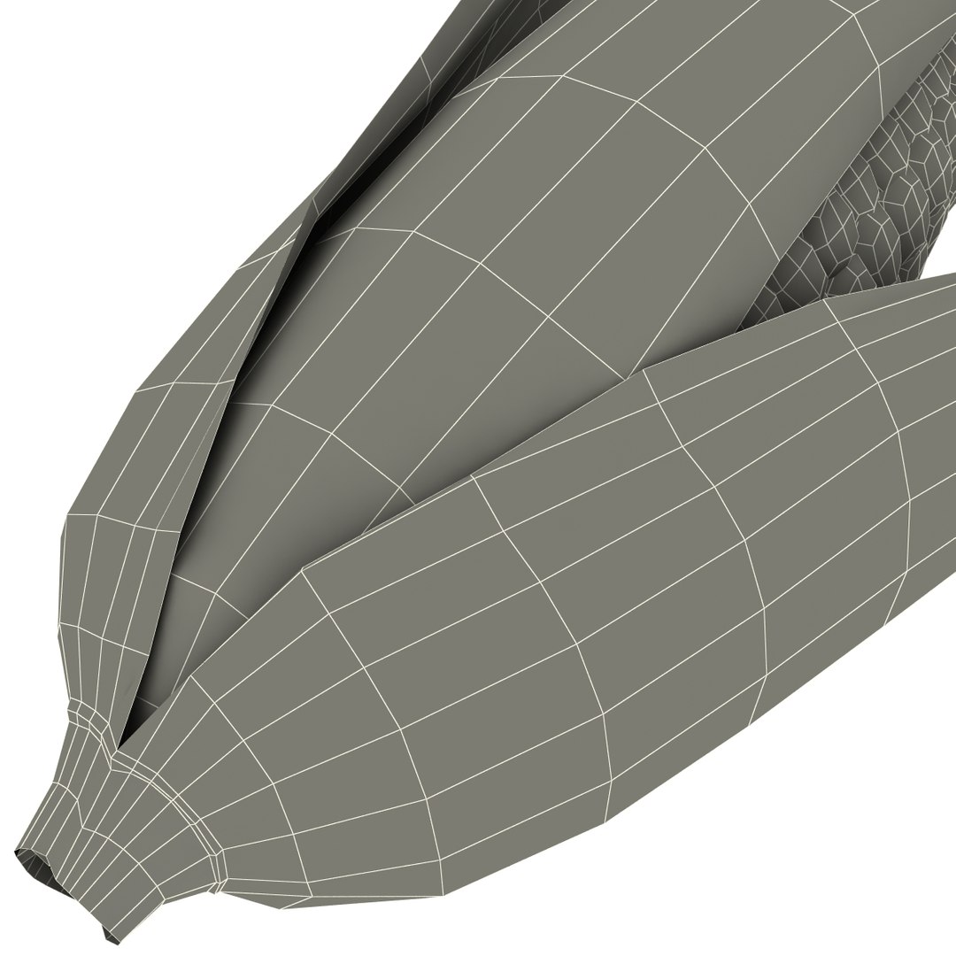 3d Corn V2 Model