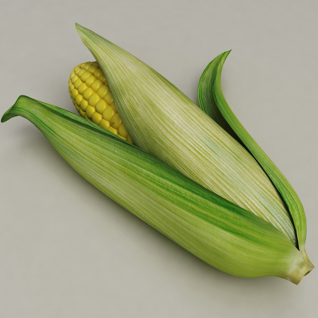 3d Corn V2 Model