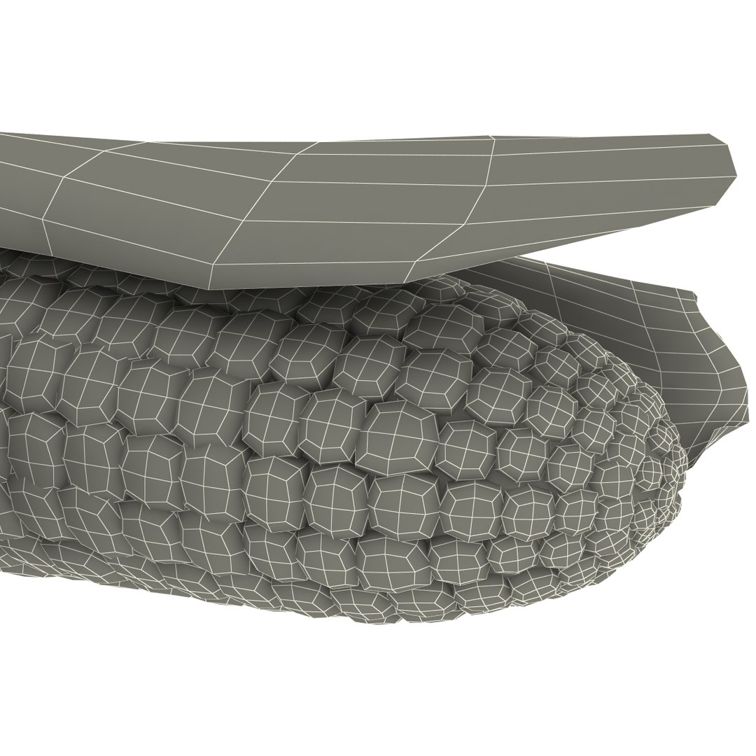 3d Corn V2 Model