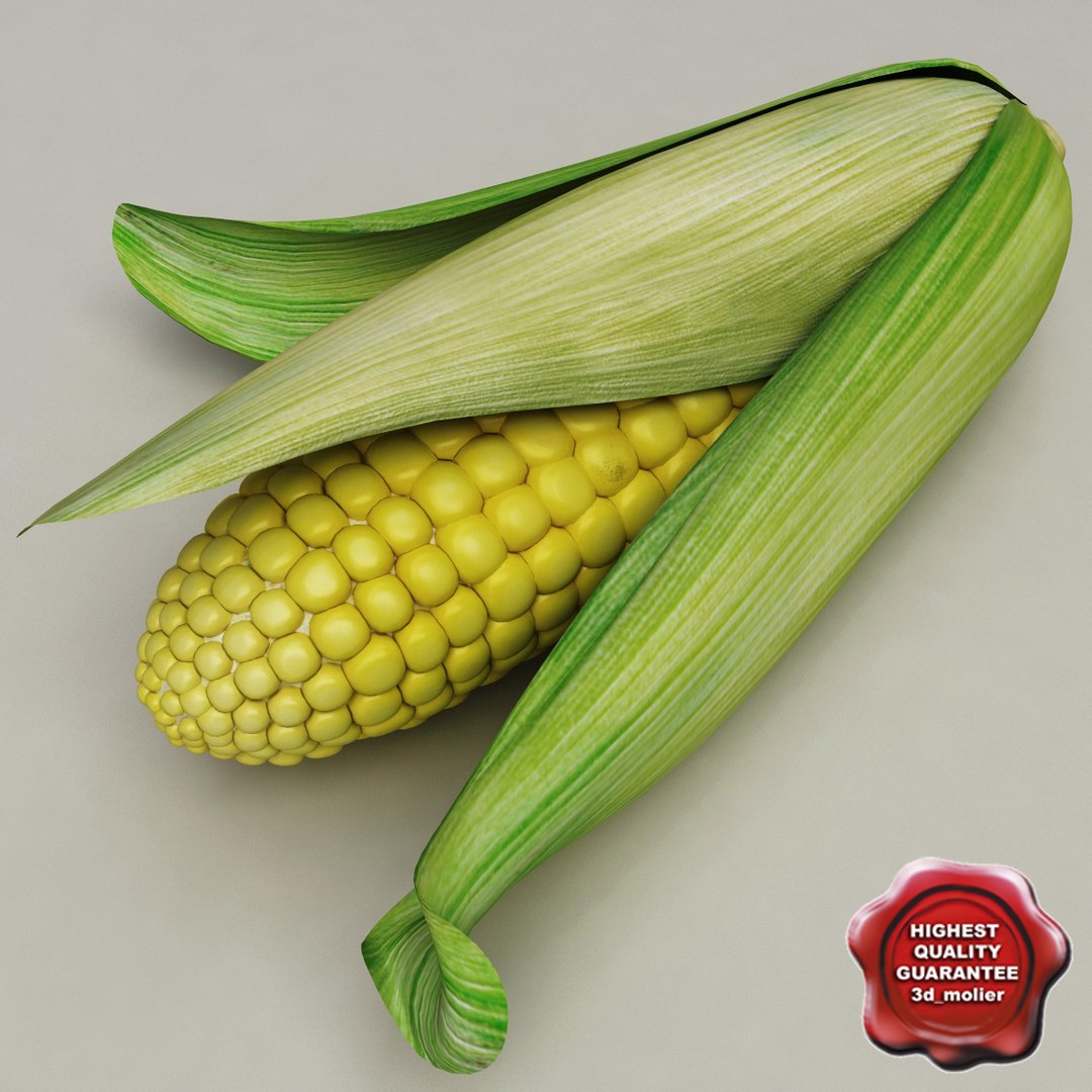 3d Corn V2 Model