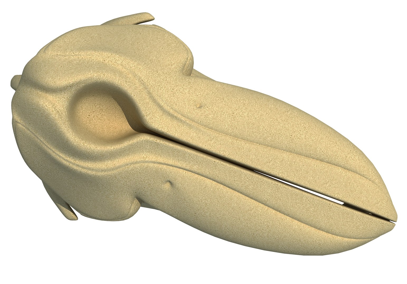 3D Model Killer Whale Orca Skull Skeleton - TurboSquid 1170361