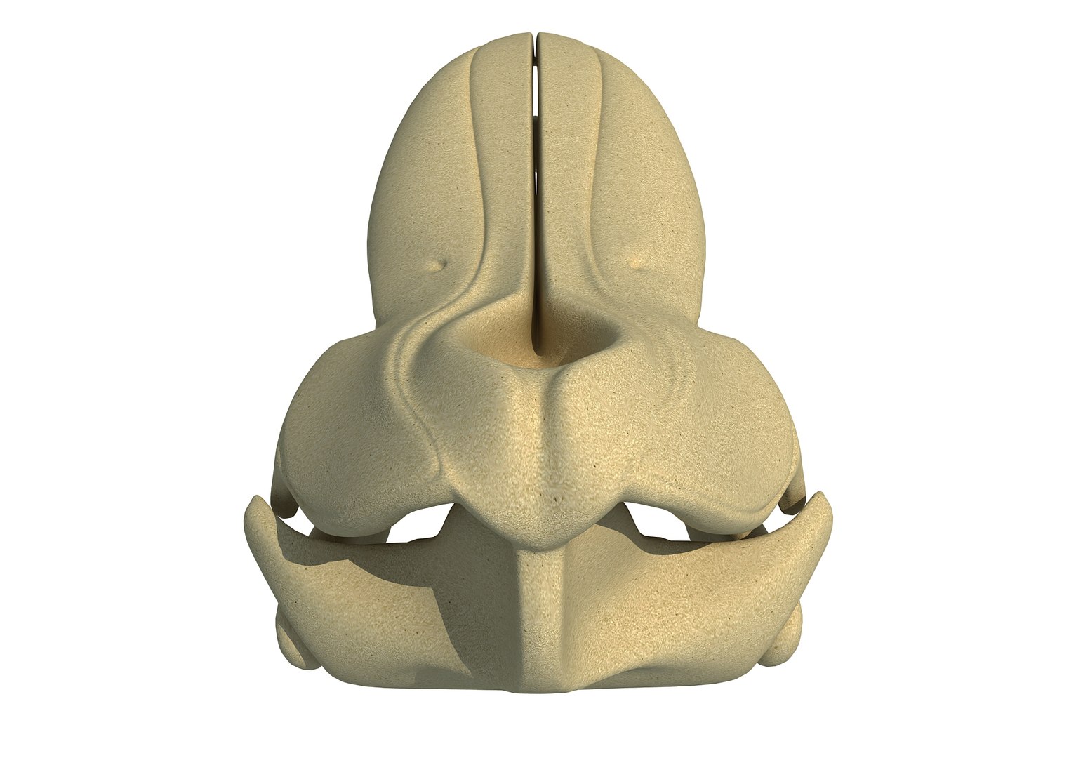 3D Model Killer Whale Orca Skull Skeleton - TurboSquid 1170361