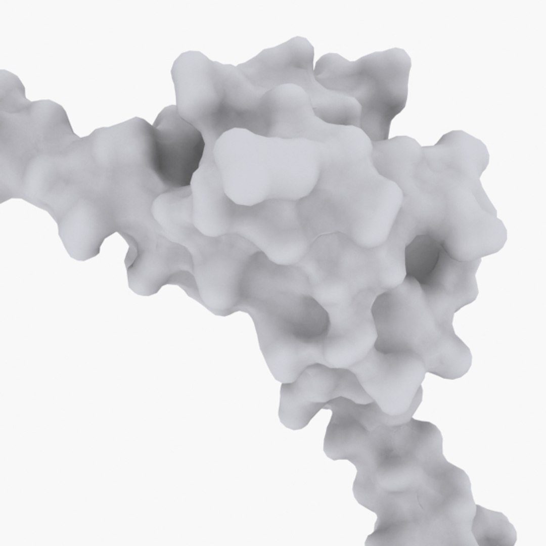 Maya Dna Protein Dna-binding