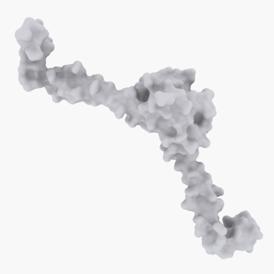Maya Dna Protein Dna-binding