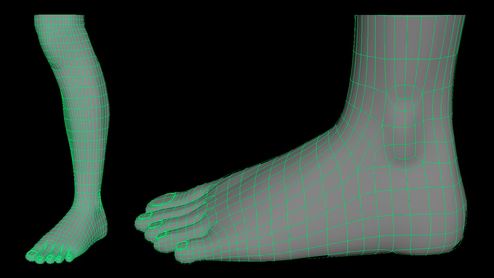 3D Model Human Leg - TurboSquid 2391524