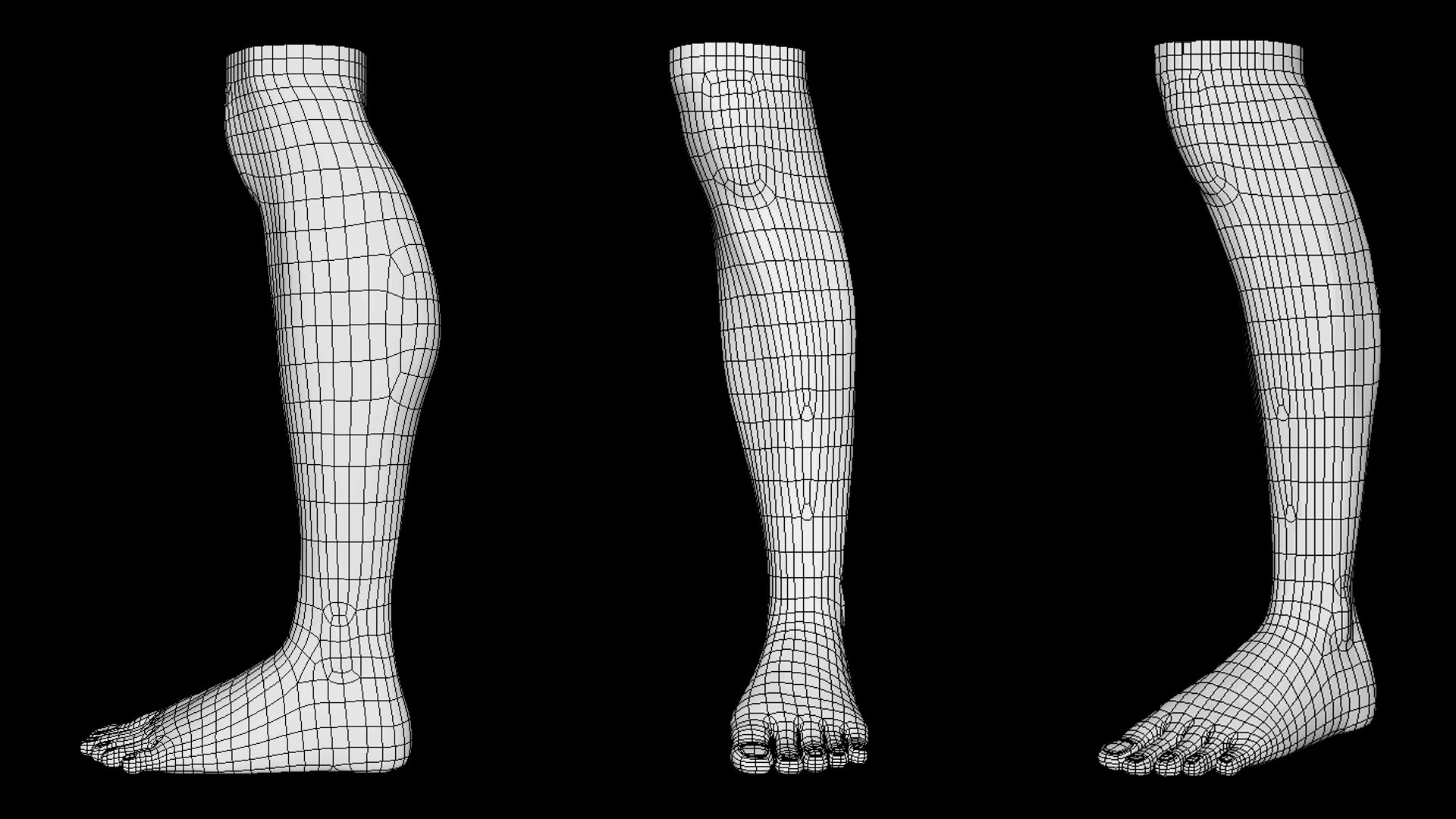 3D Model Human Leg - TurboSquid 2391524