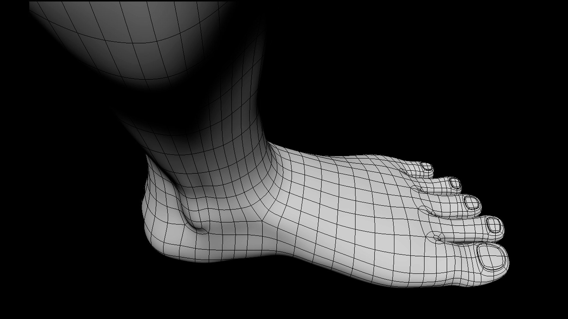 3D Model Human Leg - TurboSquid 2391524