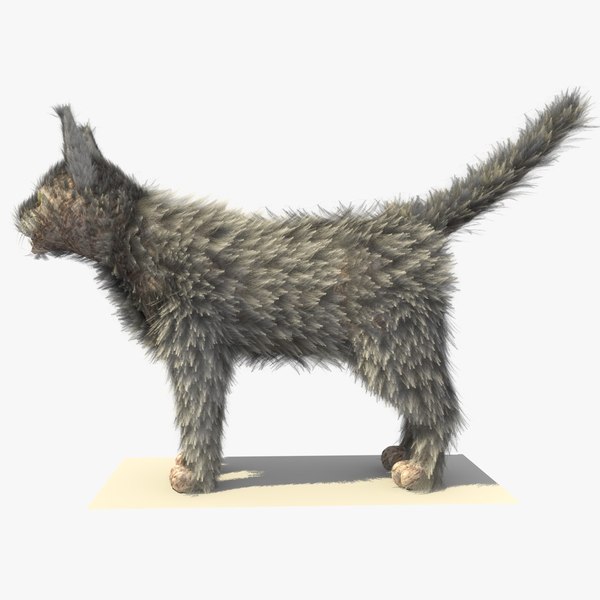 grey cat fur 3d model