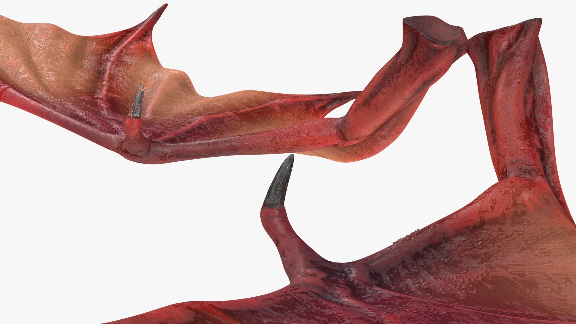 Devil Wings 3D Model - TurboSquid 1942254