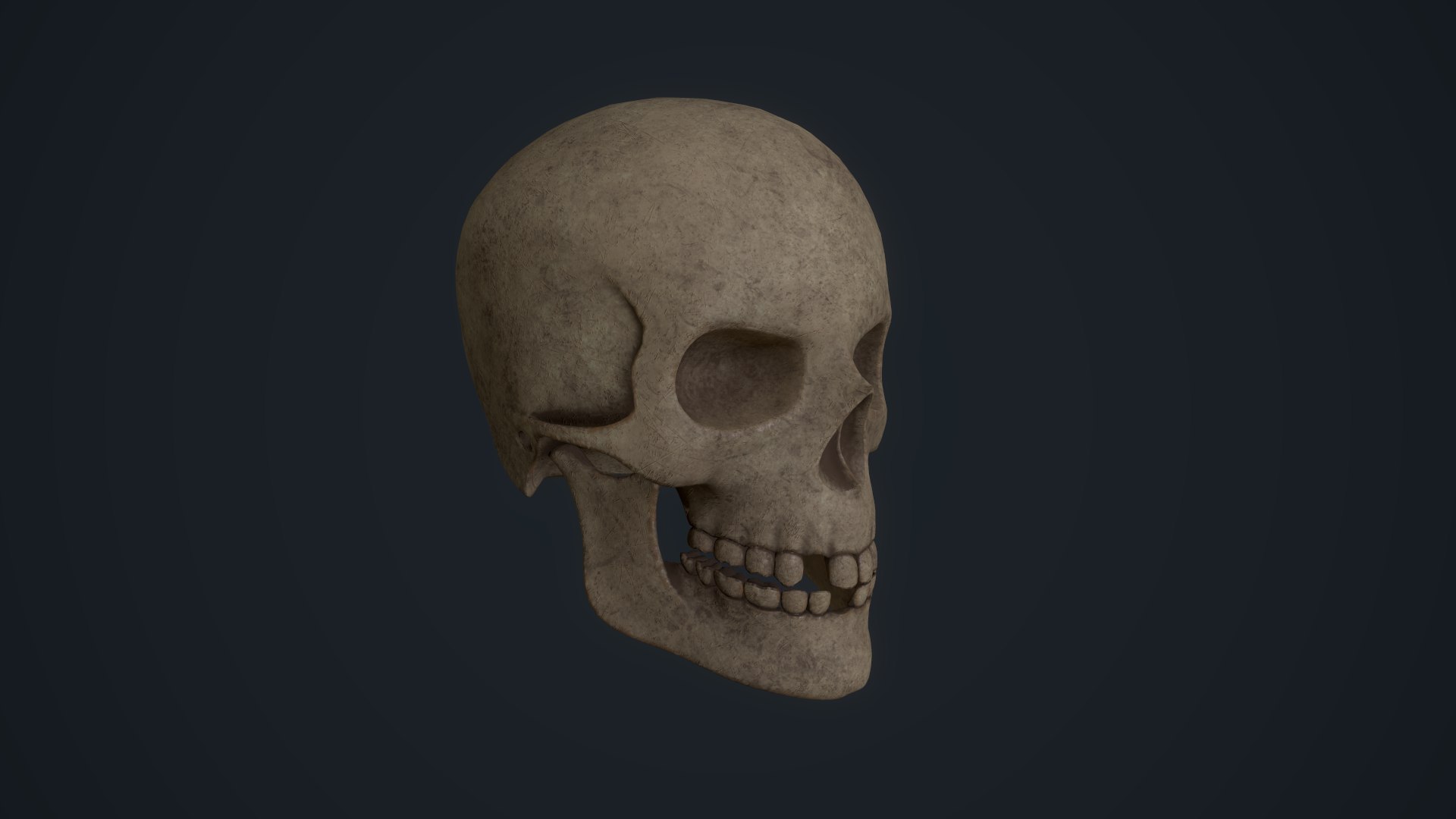 Skull Jawbone 3D - TurboSquid 1422723