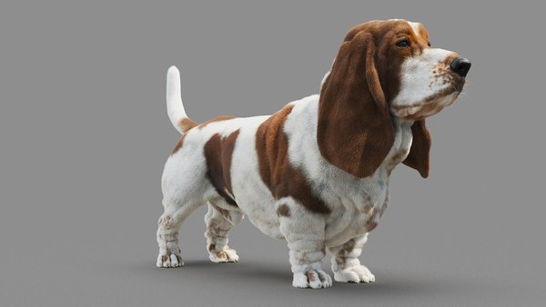 modelo 3d Colección de perros - TurboSquid 1743542