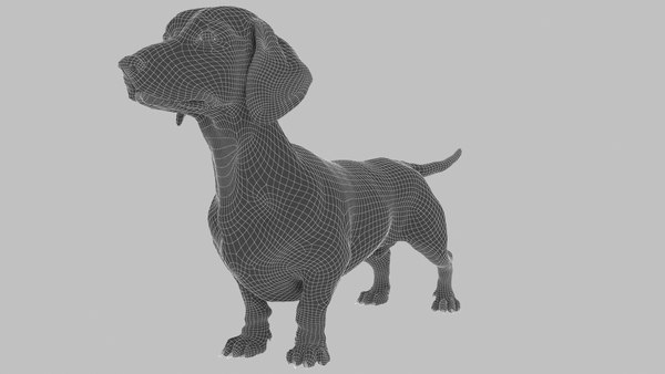 Dogs Collection 3D model - TurboSquid 1743542