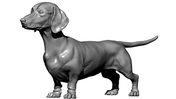 modelo 3d Colección de perros - TurboSquid 1743542