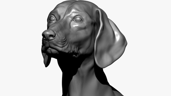 modelo 3d Colección de perros - TurboSquid 1743542