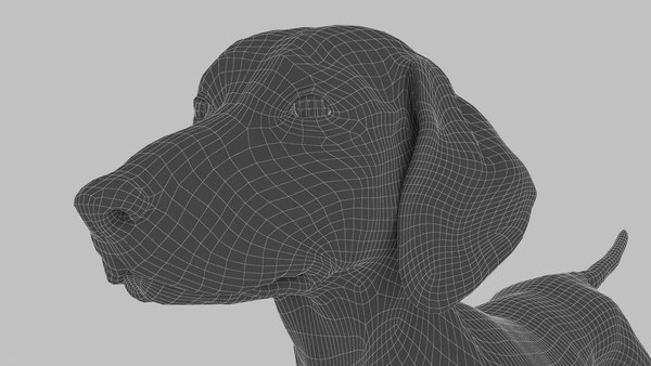 Dogs Collection 3D model - TurboSquid 1743542