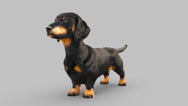 modelo 3d Colección de perros - TurboSquid 1743542