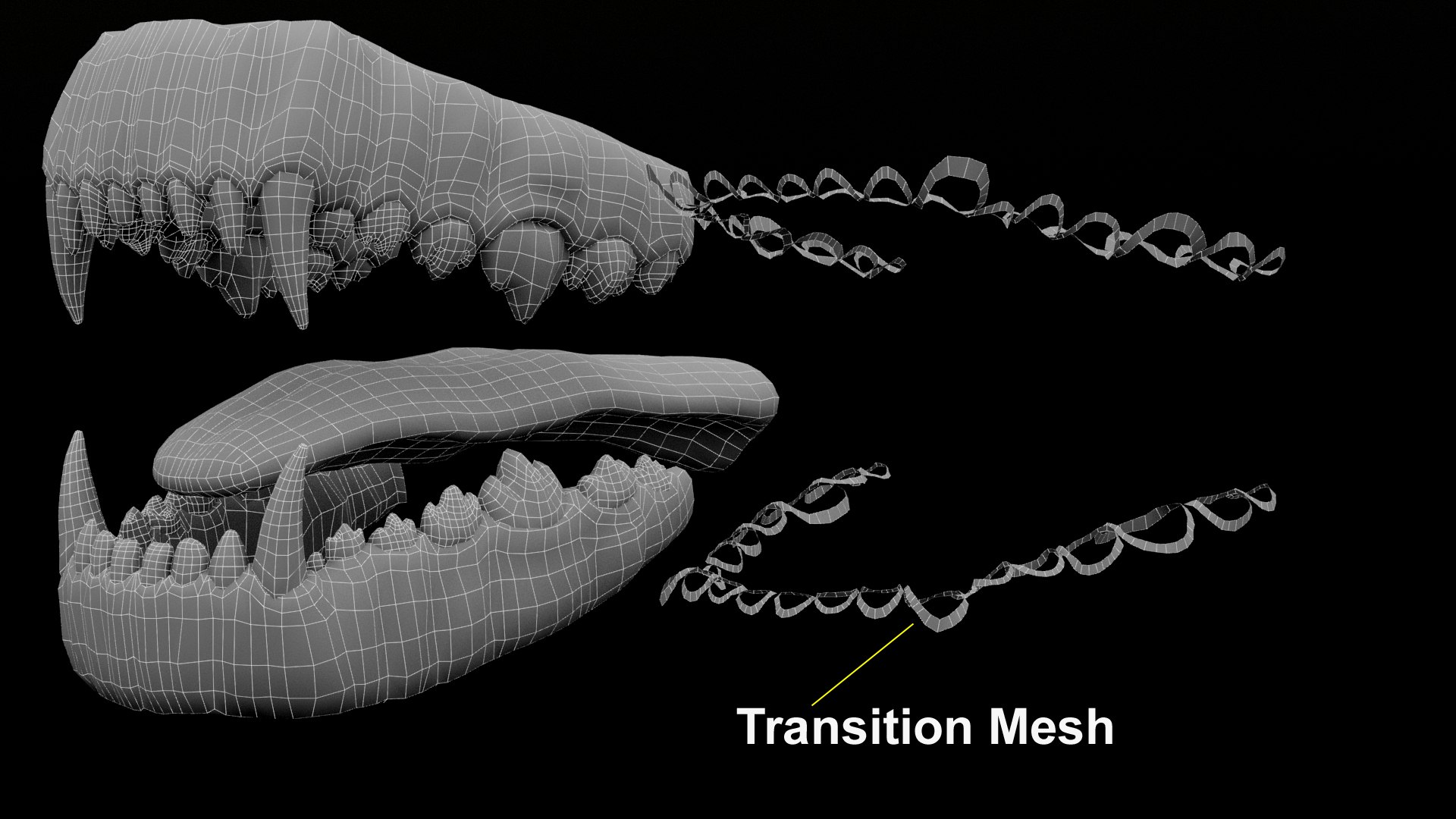 3D Realistic Wolf Mouth Anatomy - TurboSquid 2401432