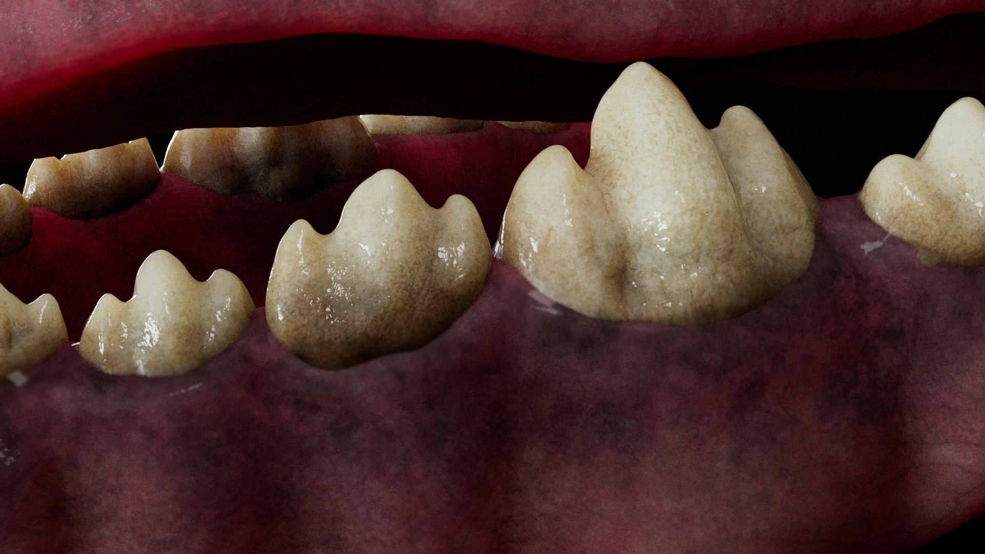 3D Realistic Wolf Mouth Anatomy - TurboSquid 2401432