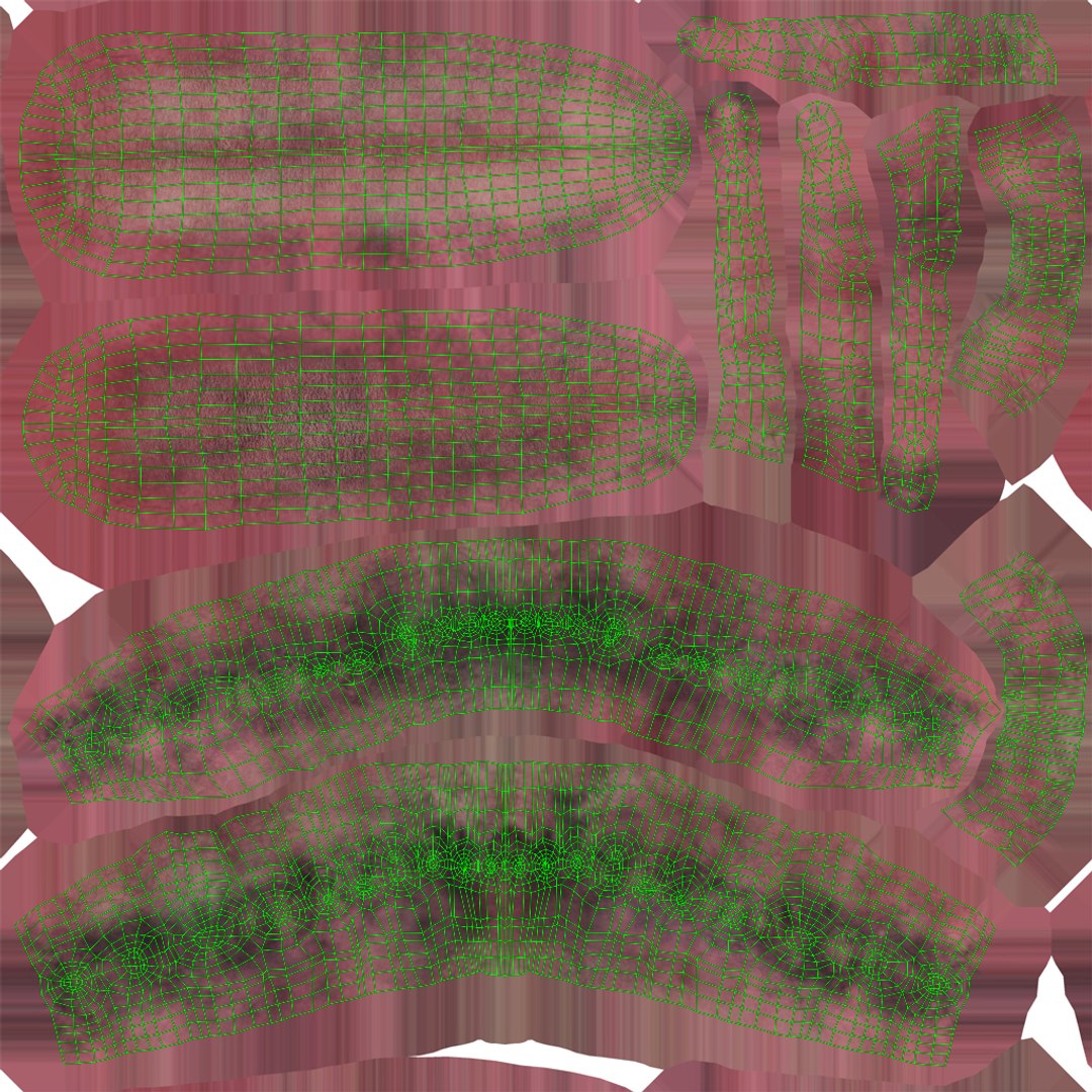 3D Realistic Wolf Mouth Anatomy - TurboSquid 2401432