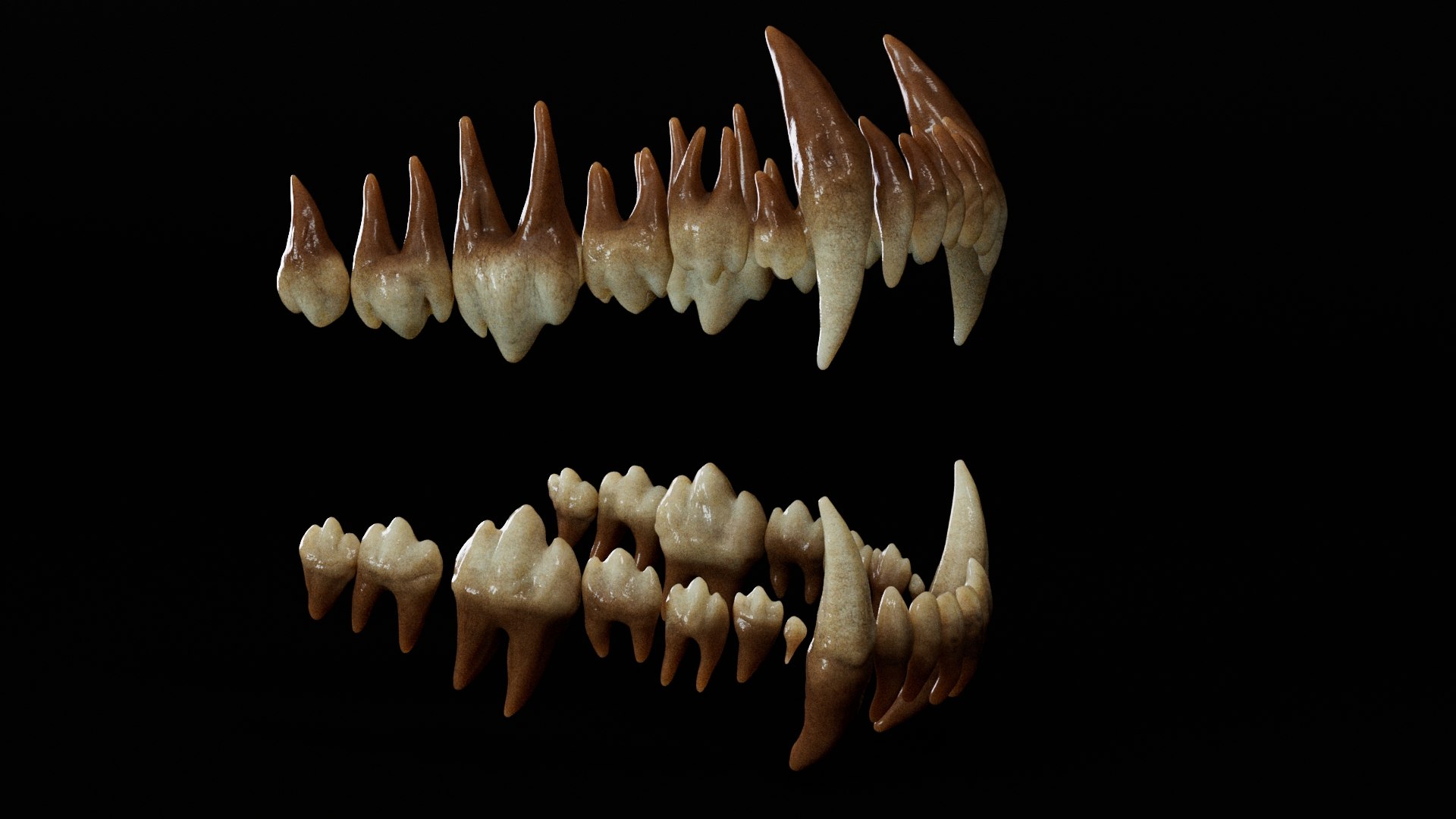 3D Realistic Wolf Mouth Anatomy - TurboSquid 2401432