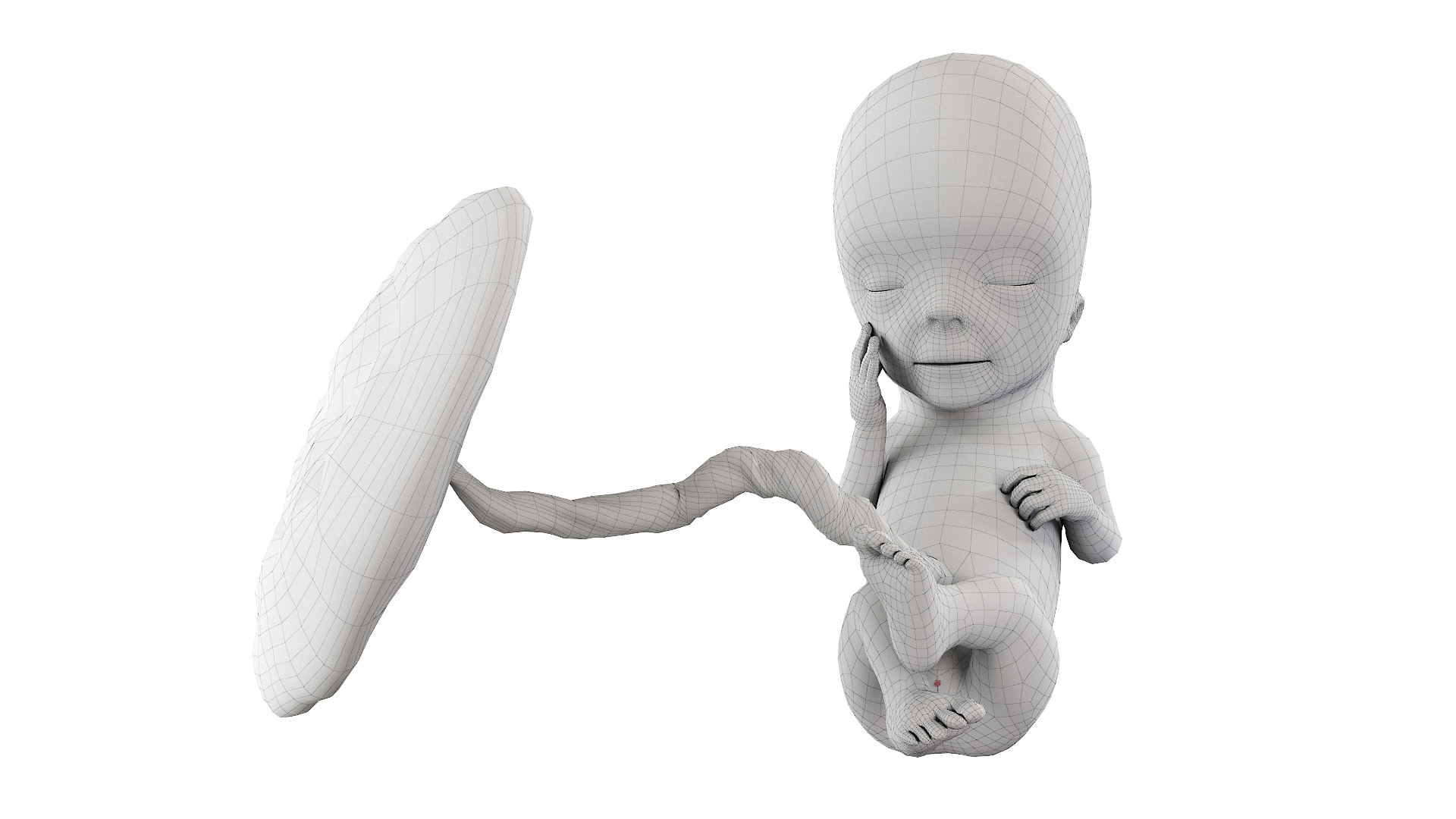 3D Fetus Week 12 Animated model - TurboSquid 1862866