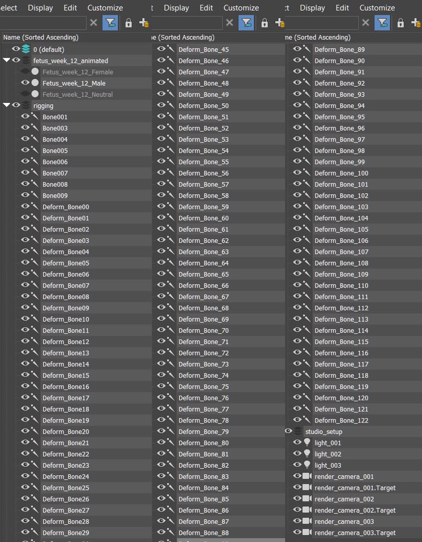 3D Fetus Week 12 Animated Model - TurboSquid 1862866