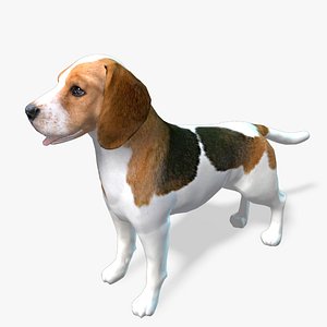 Beagle 3D Models for Download | TurboSquid