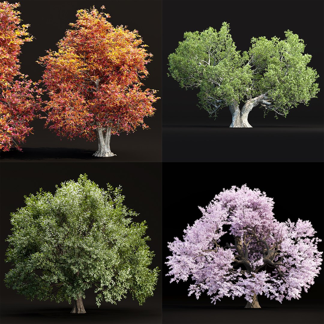 Seasonal Trees collection vol 14 model - TurboSquid 2093738