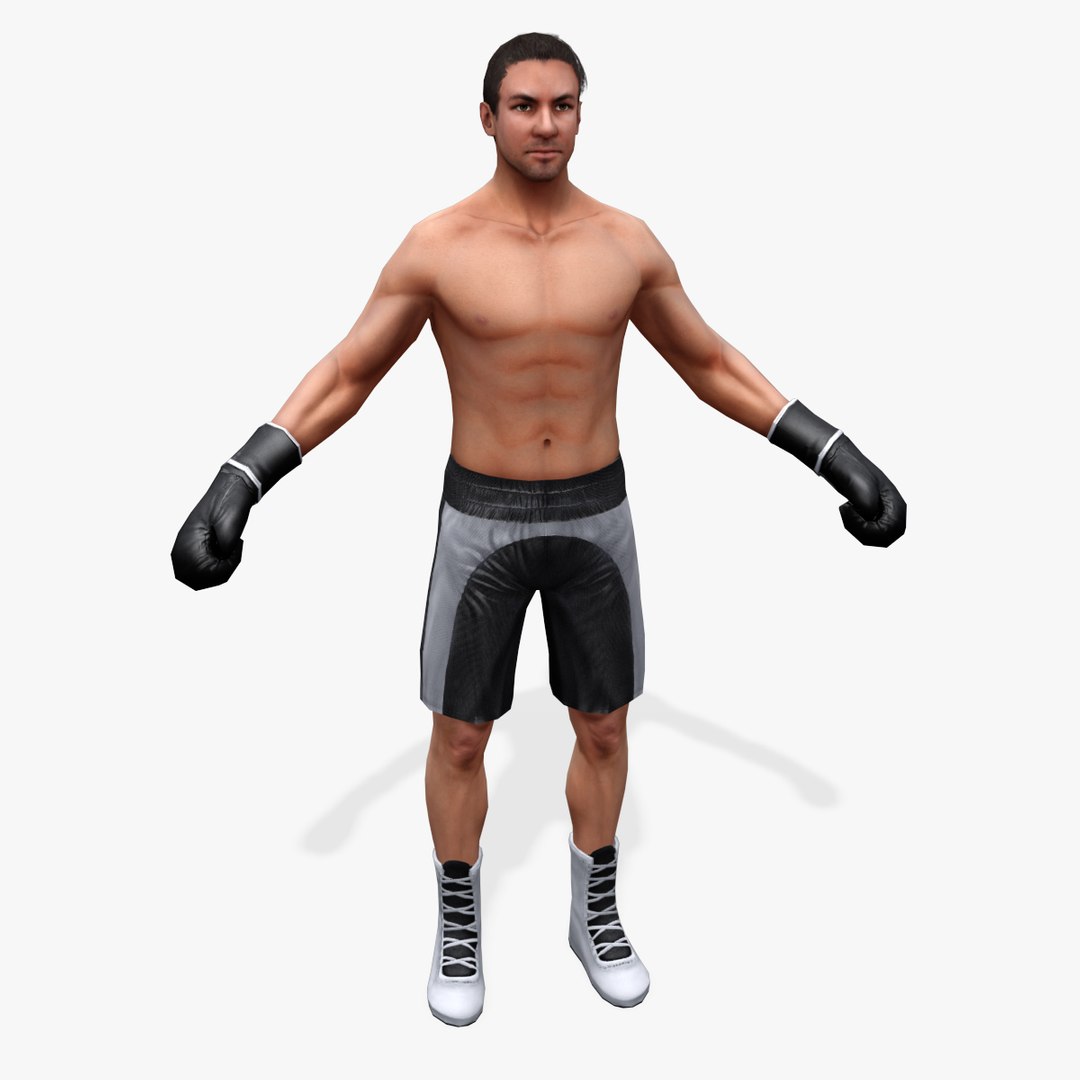 3d Boxer Real-time