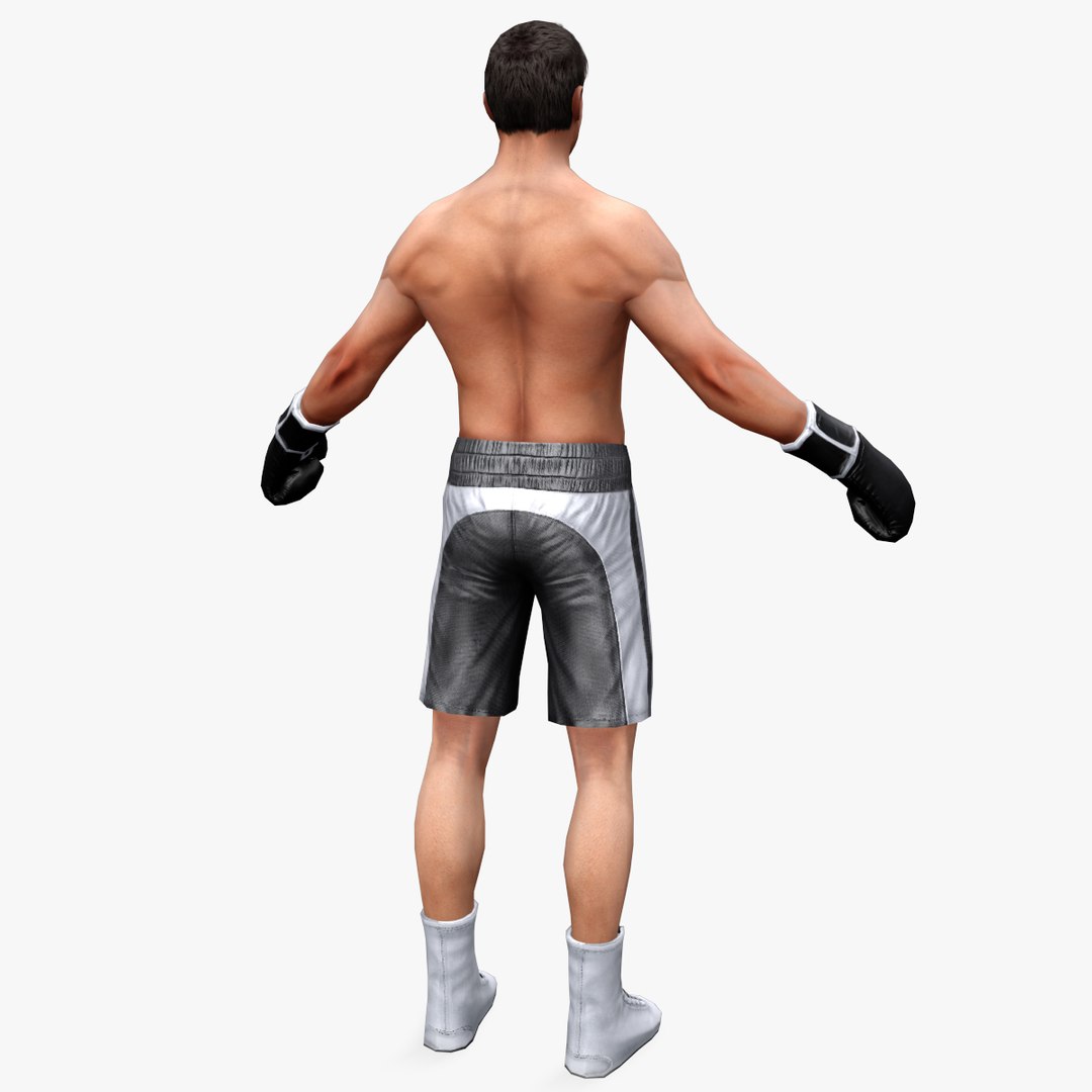 3d Boxer Real-time