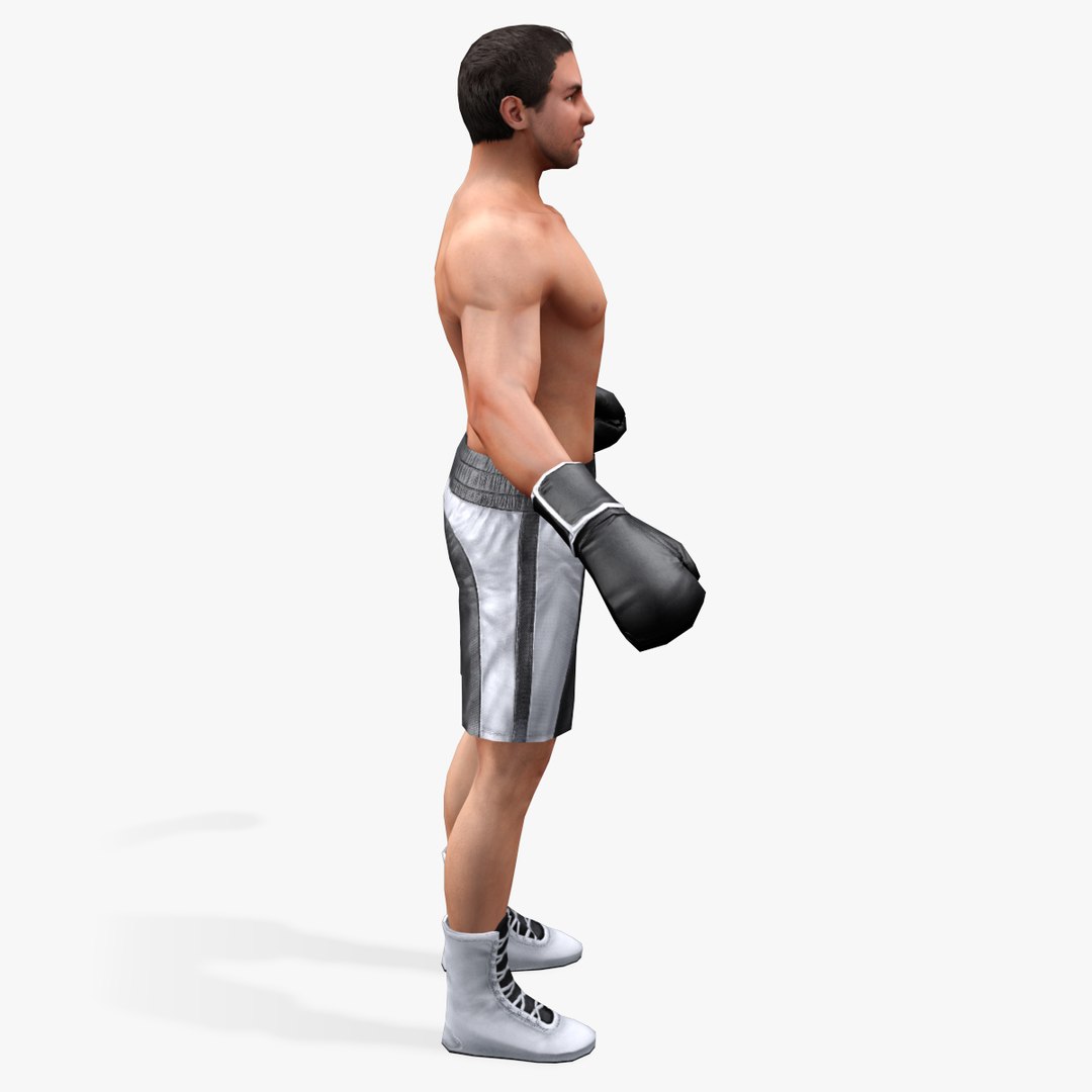 3d Boxer Real-time