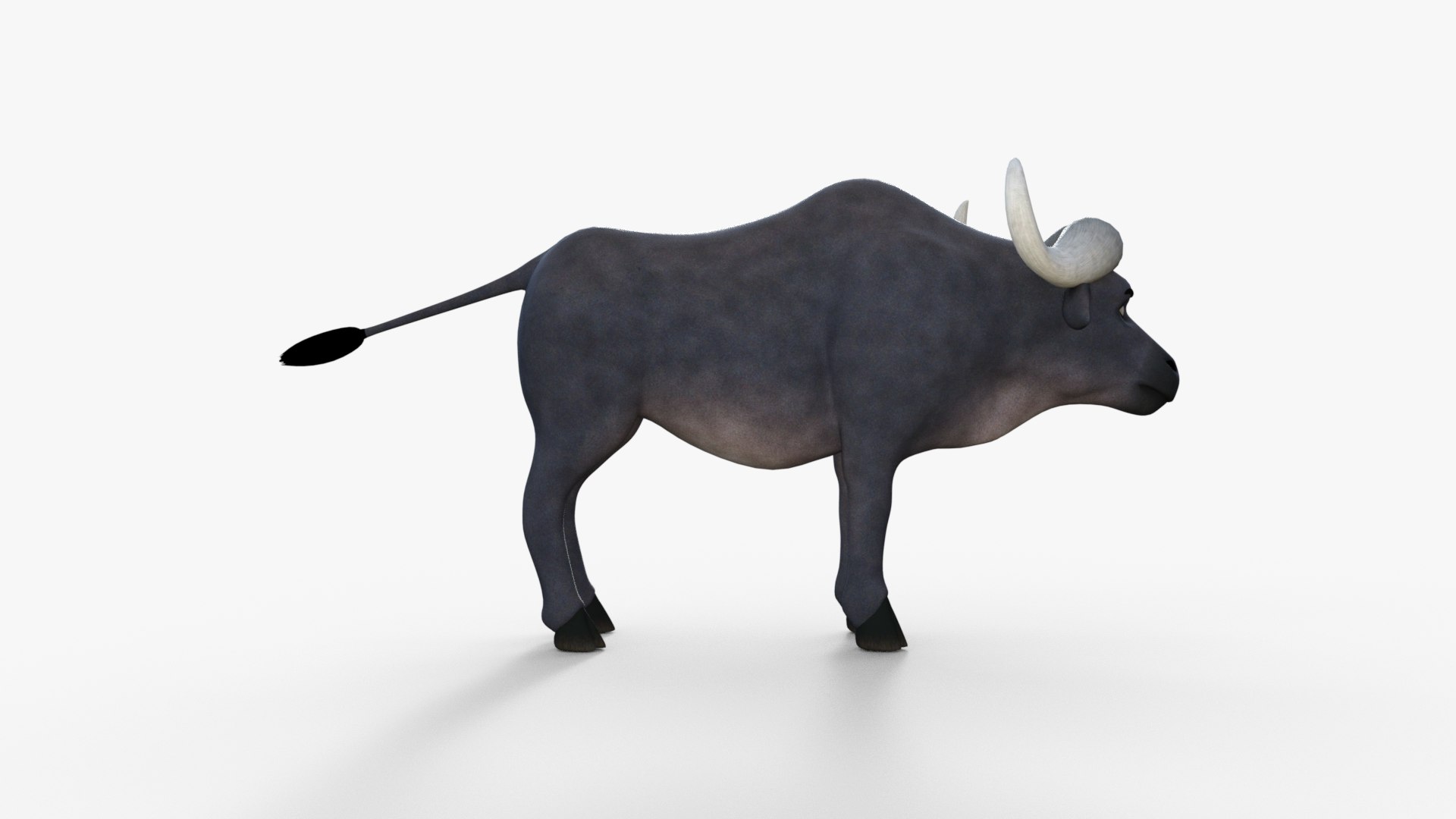 Cartoon Buffalo Rigged 3D Model - TurboSquid 2017388