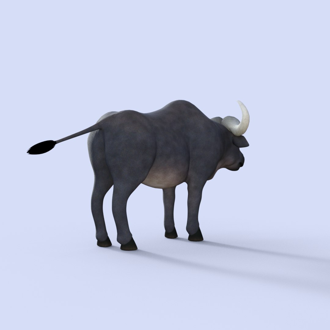 Cartoon Buffalo Rigged 3D Model - TurboSquid 2017388