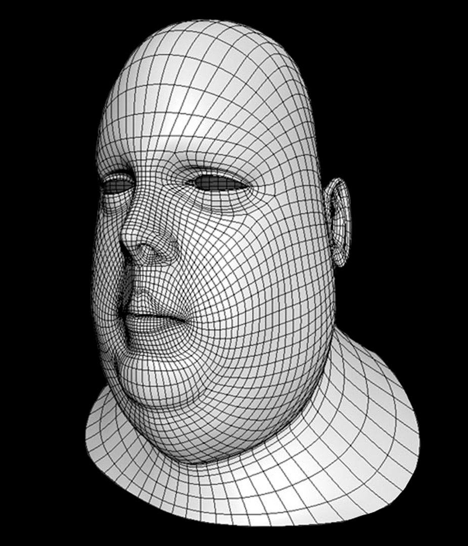 Fat Human Head 3D - TurboSquid 1276971