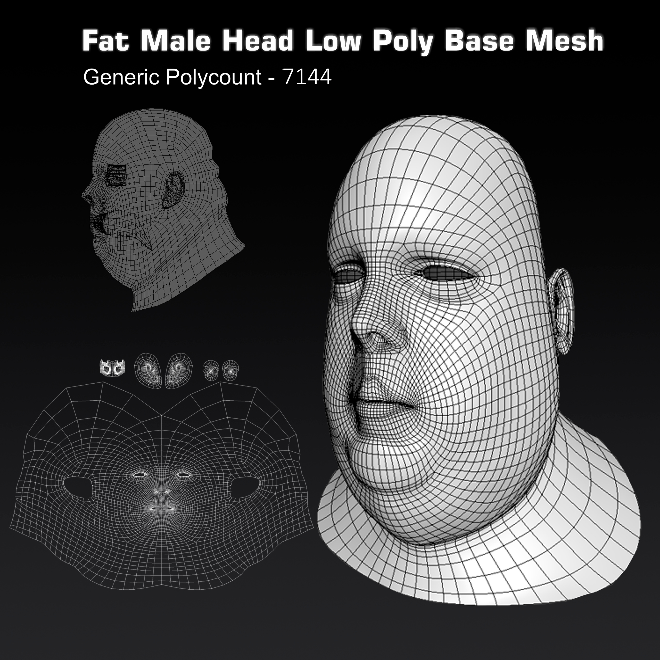 Fat human head 3D - TurboSquid 1276971