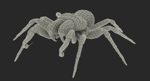 3D mouse spider rigged - TurboSquid 1171000