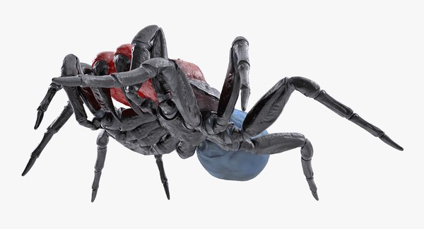 3D mouse spider rigged - TurboSquid 1171000