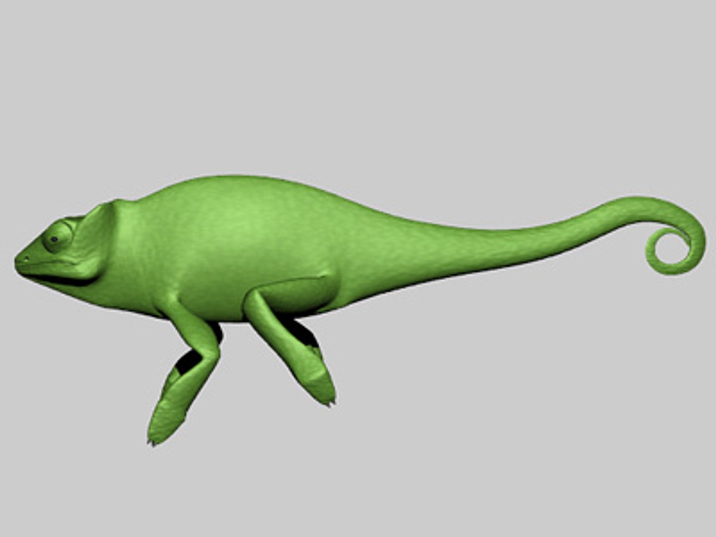 3d chameleon animation