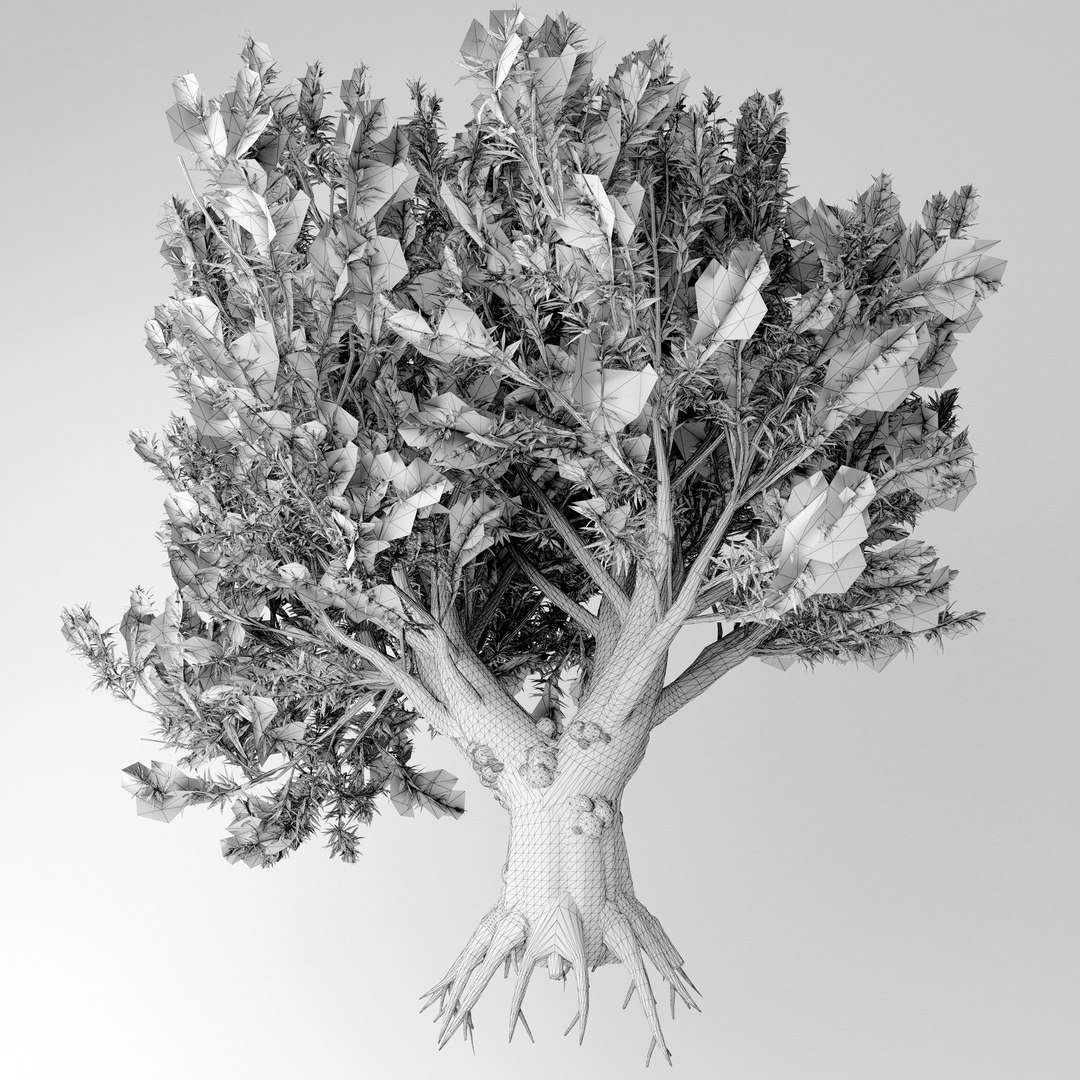 Olive Tree 3D Model - TurboSquid 1703674