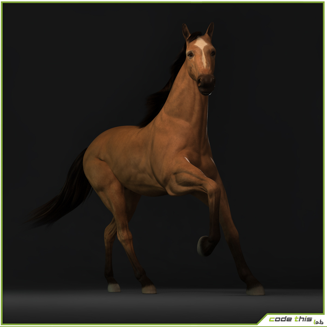 3d model of animations