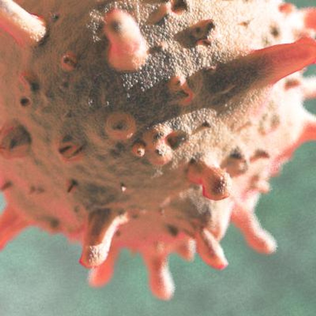 Sars Virus 3d Model