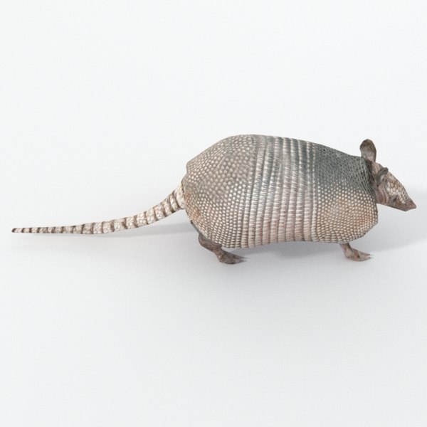 3D model armadillo - TurboSquid 1394965